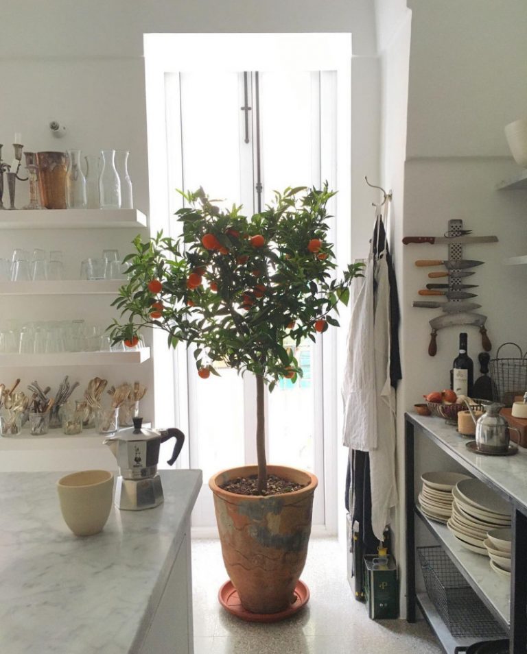 10 Images With: Julie Ann Marr :: This Is Glamorous (TIG)